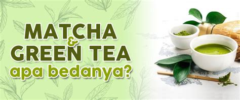 Matcha Dan Green Tea Bedanya Apa Asia Pramulia