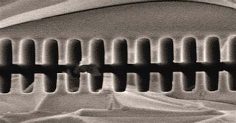 First Laser Driven Electron Accelerator Demonstrated