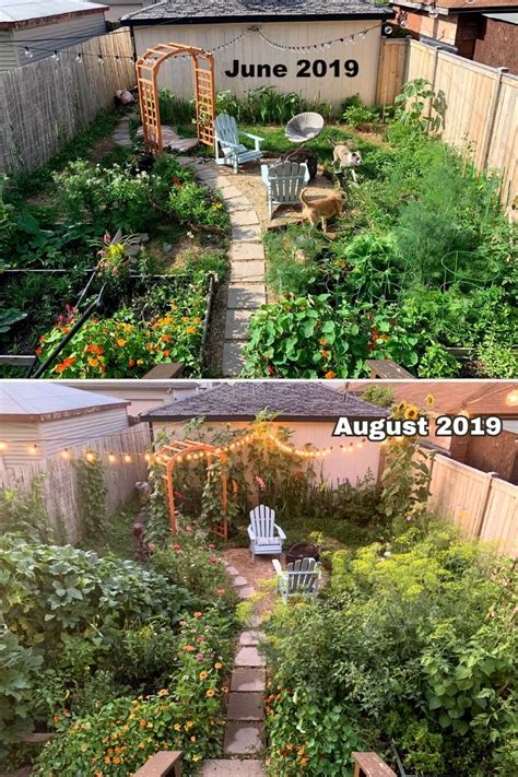 These Budget Backyard Makeover Diys Made Me Wonder Why I Waited So Long