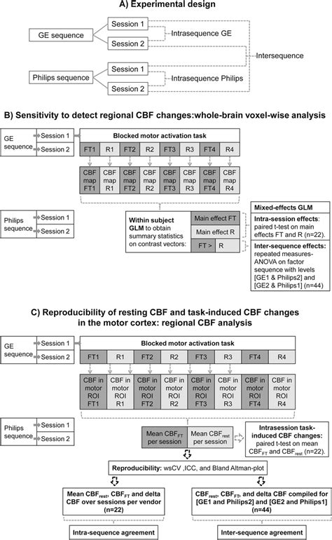 Design And Analyses Schematic Overview Of A Experimental Design And Download Scientific