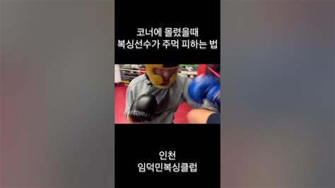 코너에 몰렸을때 복싱선수가 주먹 피하는법 용어설명ㅇ1 06배속 인천 임덕민복싱클럽 Youtube