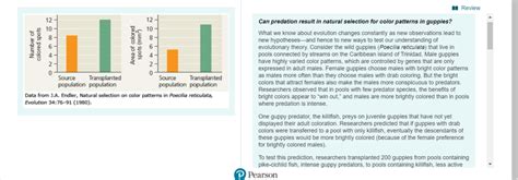 Bio 191 Ch 19 Hw Diagram Quizlet