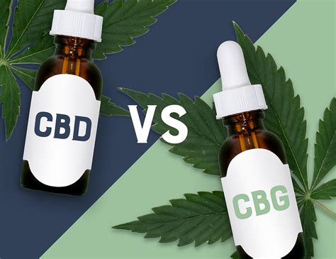 Cbd Vs Cbg