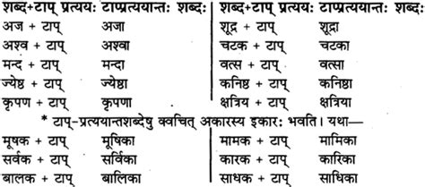 Stree Pratyaya In Sanskrit स्त्री प्रत्यया Stree Pratyaya Ke