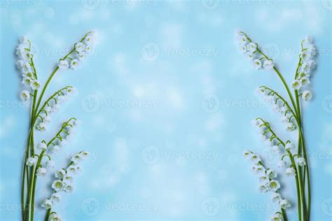 Lily Of The Valley Flower On Blue Background Stock Photo At Vecteezy