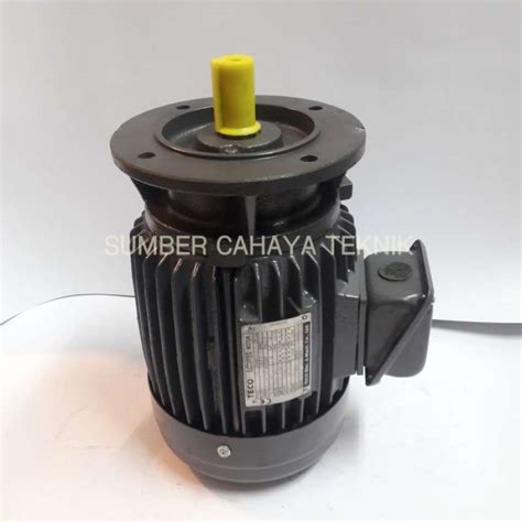 Jual Teco 2 Hp 3 Phase Induction Motor Dinamo Elektro Motor Flange Di