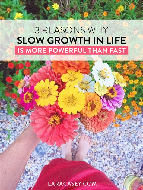 Three Reasons Why Slow Growth Is Better Than Fast Lara Casey