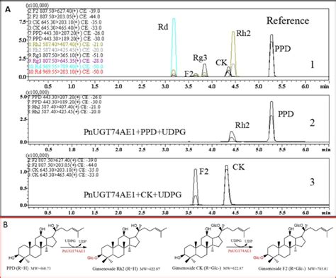 Pnugt74ae1 Catalyzes Ppd Type Ginsenoside C3 Hydroxyl Glycosylation