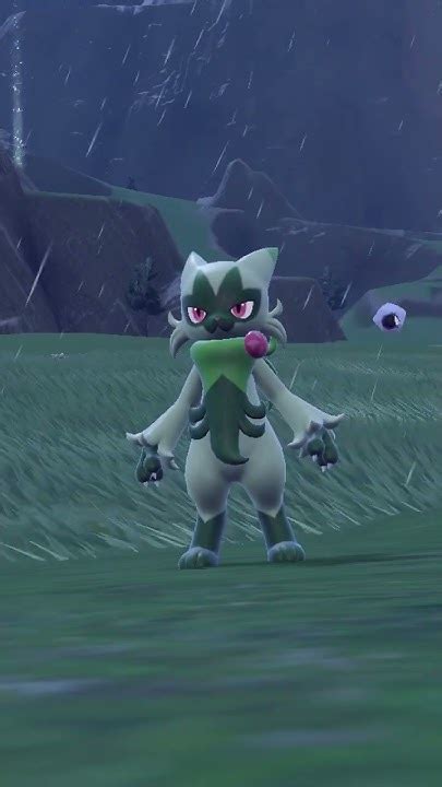 Evolving Sprigatito To Meowscarada In Pokemon Scarlet And Violet Youtube