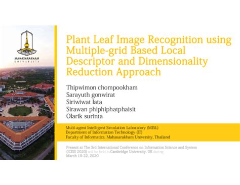 Pdf Plant Leaf Image Recognition Using Multiple Grid Based Local