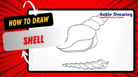How To Draw Shell YouTube