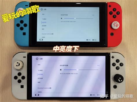 Switch续航版和oled版怎么选购？实拍详细对比图，两者主要区别及购买攻略推荐 知乎