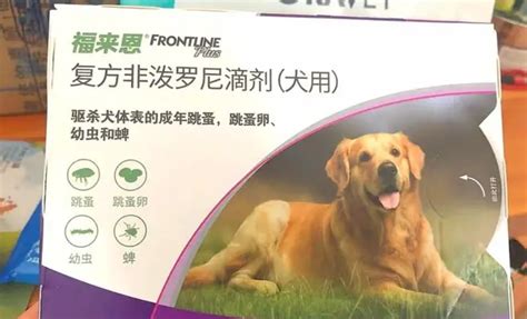 福来恩和大宠爱驱虫哪个好 宠物网