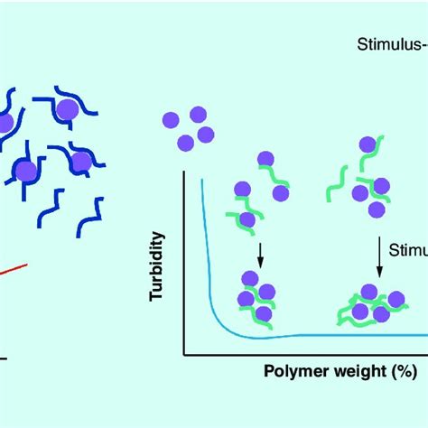 Pdf What Can Cell Culture Flocculation Offer For Antibody