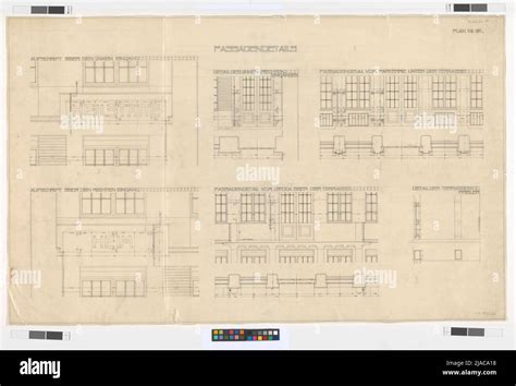 Lupus Healing Facade Details Inscriptions Inputs Ground Floor