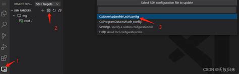Vscode使用远程服务器jupytervscode远程jupyter Csdn博客