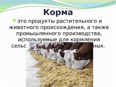 Презентация на тему "Основы кормления сельскохозяйственных животных ...