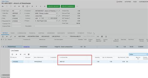 How Can I Process Returns For Serialized Items That Were Sold Prior To Going Live With Acumatica