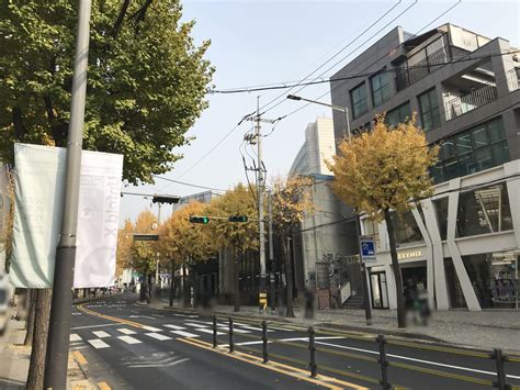 마포구 홍대 클럽거리에『club Mars클럽 마스』가 오픈했대 강서통신