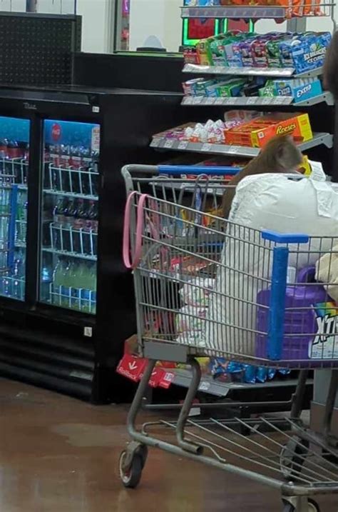 Indiana 3 Year Old Scratched By Monkey Inside Walmart