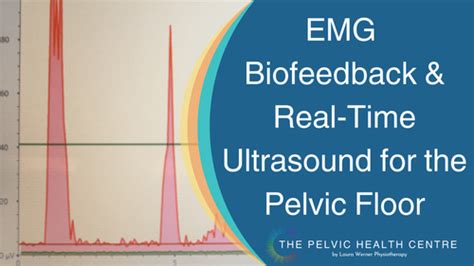 What Is Emg Biofeedback And Rtus Imaging — Laura Werner Physiotherapy