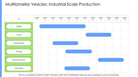 Exploring Multilamellar Vesicles Structure And Applications Ppt Template St Ai Ppt Example