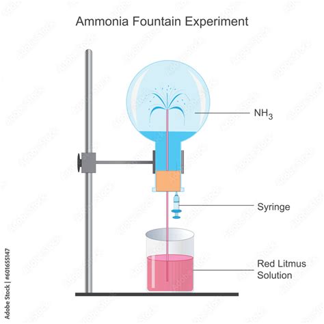 Ammonia Fountain Experiment To Show The Solubility Of Ammonia Gas