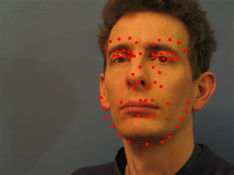 Github Dfdxactiveappearancemodelsjl Active Appearance Models