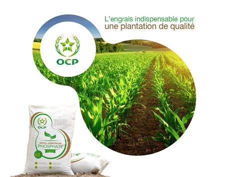 Engrais Ocp On Behance