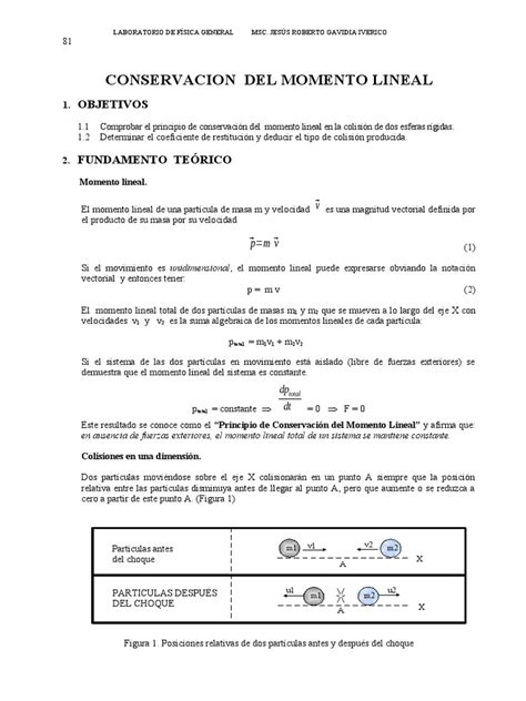 01 Conservacion Del Momento Lineal Pdf Impulso Cantidades Fisicas