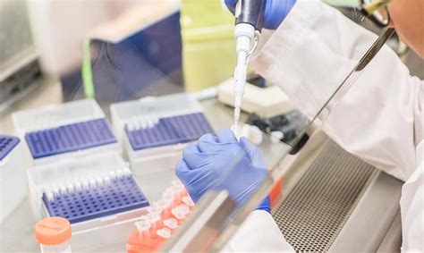 Perishable Freight Forwarders Dg Air Freight