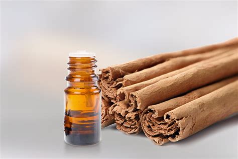 7 Incredible Cassia Essential Oil Benefits And Uses You Didnt Know