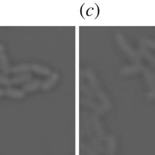 A Original Image Smoothed Images After Applying B Gaussian Filter Download Scientific