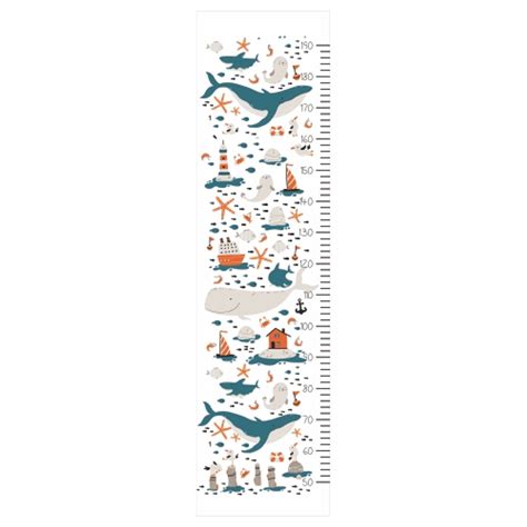 Pvchc15 Pvc Height Chart Marine Life Bali Trading Wholesale