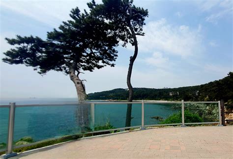 매력적인 공업도시 울산여행 장애인과 일터