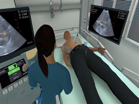 Focused Assessment With Sonography For Trauma Fast Vitasim