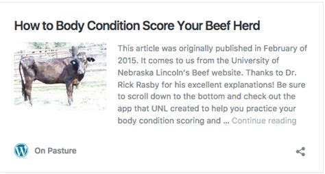 Body Condition Scoring On Pasture