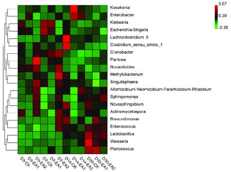 Heatmap Of Prominent Bacterial Genera 20 Most Abundant Genera For