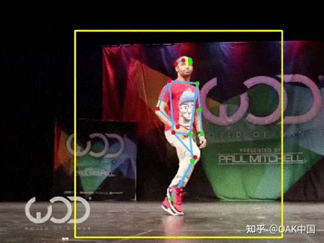 多个开源姿态检测模型项目，上手即用，实测可行！ 知乎