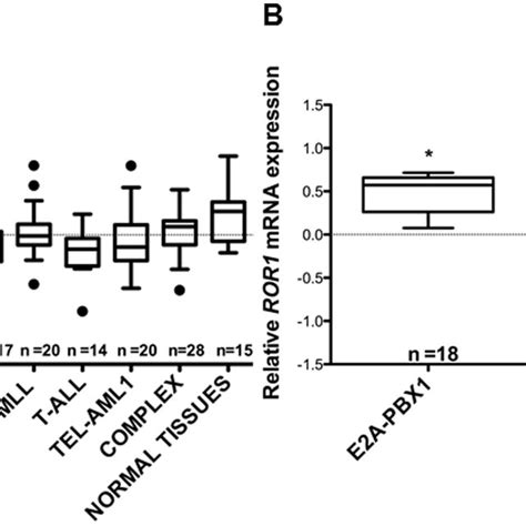 ROR1 Mediated Antibody Internalization Confocal Immunofluorescence
