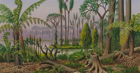 What Is A Lepidodendron Tree The Meme Explained