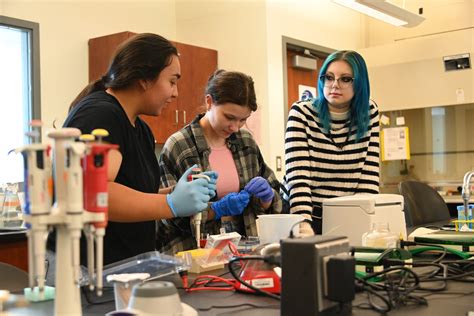 Summer 2023 Sluglab In Action The Slug Lab