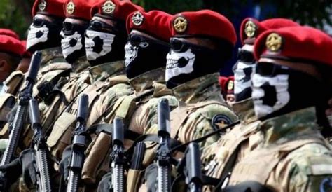 Mengenal Lebih Dekat Komando Pasukan Katak Tni Al Korps Elit Yang