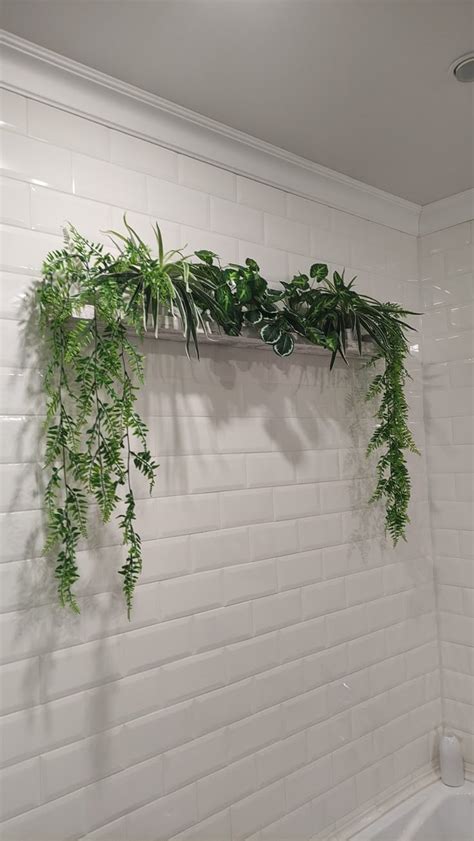 Ванная комната Декор из растений Висячие растения Зеленые комнаты