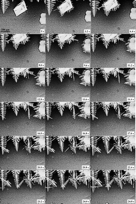 Unmodified Eutectic Microstructure Formation During Dsg Of Al Si Cu