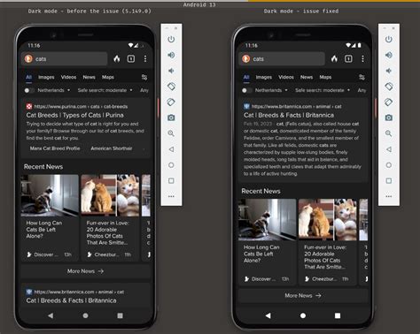 Bug Recent Update Breaks Application Dark Theme Setting · Issue 2878 · Duckduckgoandroid