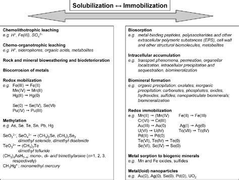 Actinoid Series Elements Semantic Scholar