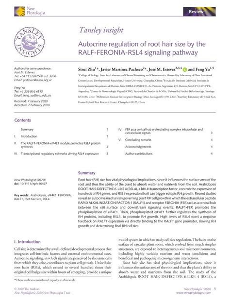 Autocrine Regulation Of Root Hair Size By The Ralf Feronia Rsl4 Signaling Pathway
