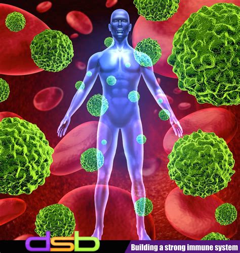 Building A Strong Immune System Dsb Fitness