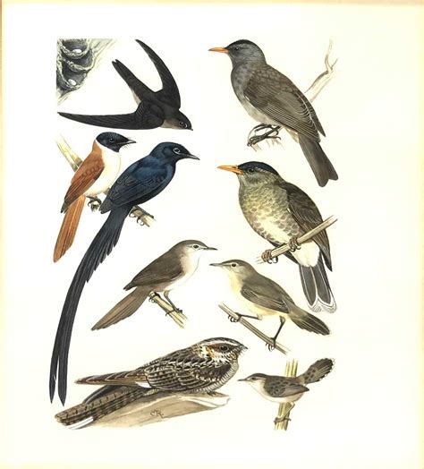 Lot 362 Chloe Elizabeth Talbot Kelly